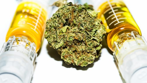 Drying Cannabis for Retail or THC & CBD Oil Extraction Drying Cannabis for Retail or THC & CBD Oil Extraction